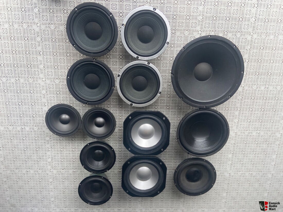 DIY Raw Speaker Collection Photo #4386585 - Canuck Audio Mart