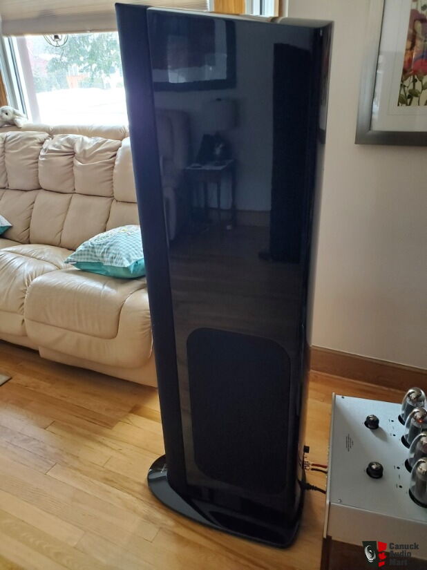 GoldenEar Triton Reference speakers / Sale pending Photo #4387234 ...
