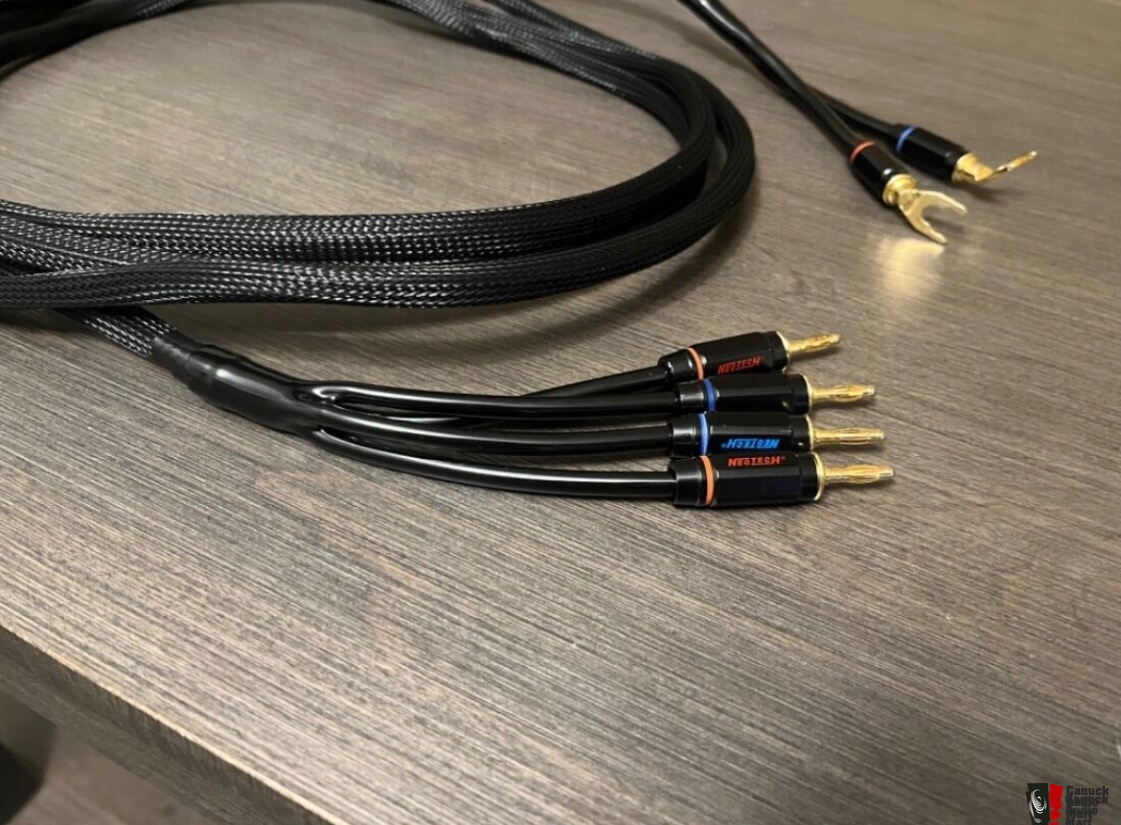QED / Neotech single bi-wire 10 foot cables For Sale - Canuck Audio Mart