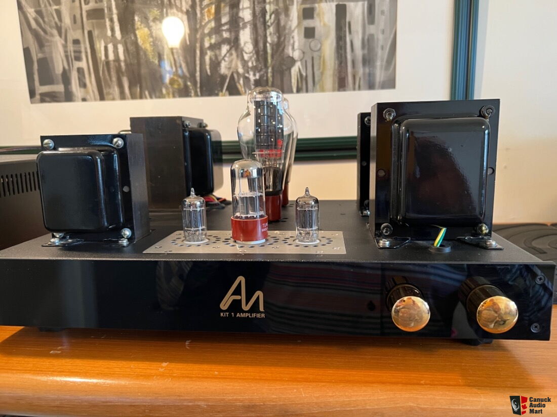 ANK KIT1 Amp Photo #4396002 - Canuck Audio Mart