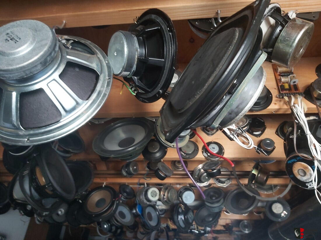 Drivers (speakers) Photo #4399358 - Canuck Audio Mart