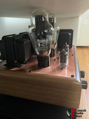 Tektron 300B Photo #4400565 - Canuck Audio Mart