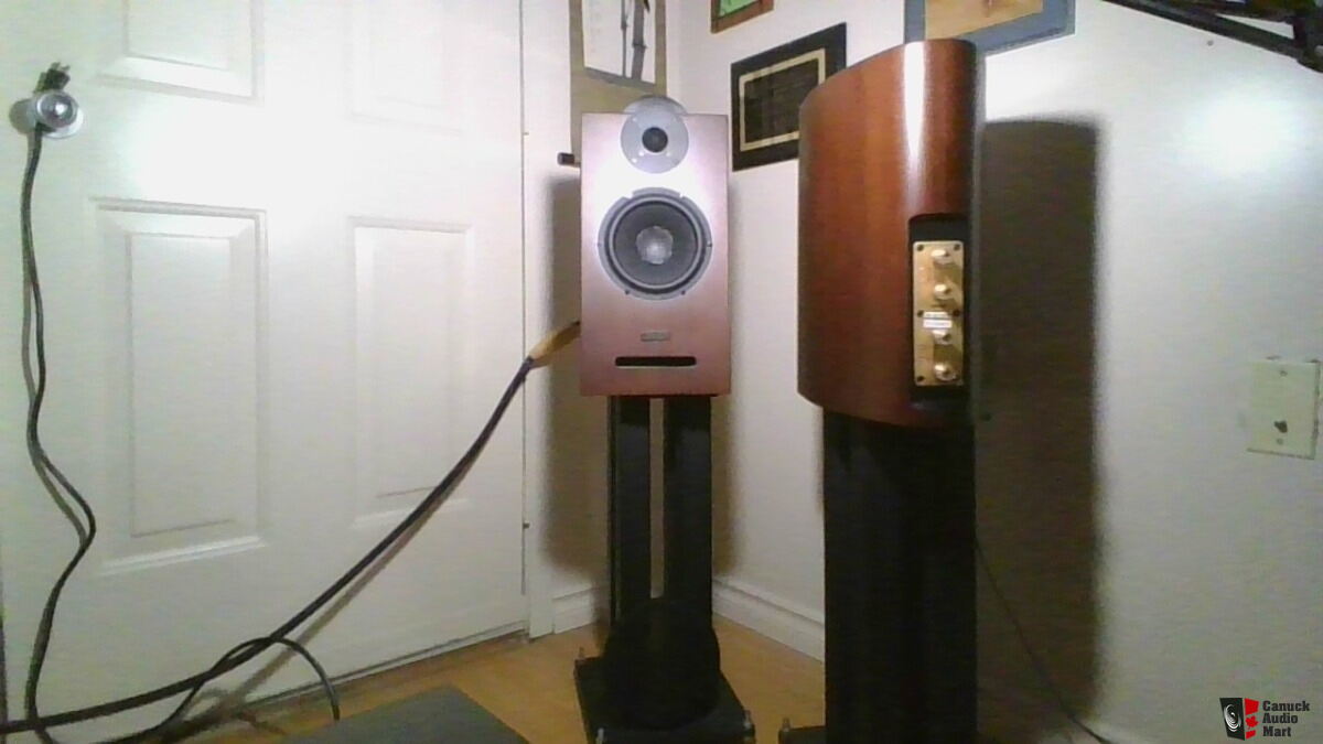 Usher N-6300 Bookshelf Speakers Photo #4442306 - US Audio Mart