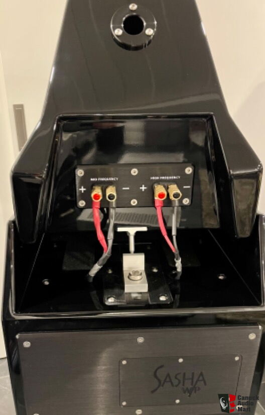 Wilson Audio Sasha Series 2 in Excellent condition PRICE REDUCED Photo ...