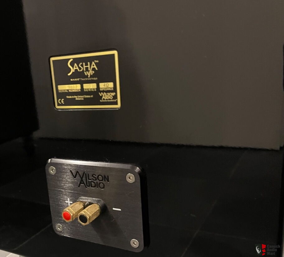 Wilson Audio Sasha Series 2 in Excellent condition Photo #4401778 ...