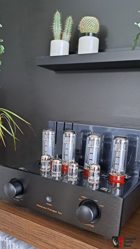 Primaluna Prologue Two - Integrated Amp Photo #4401849 - US Audio Mart