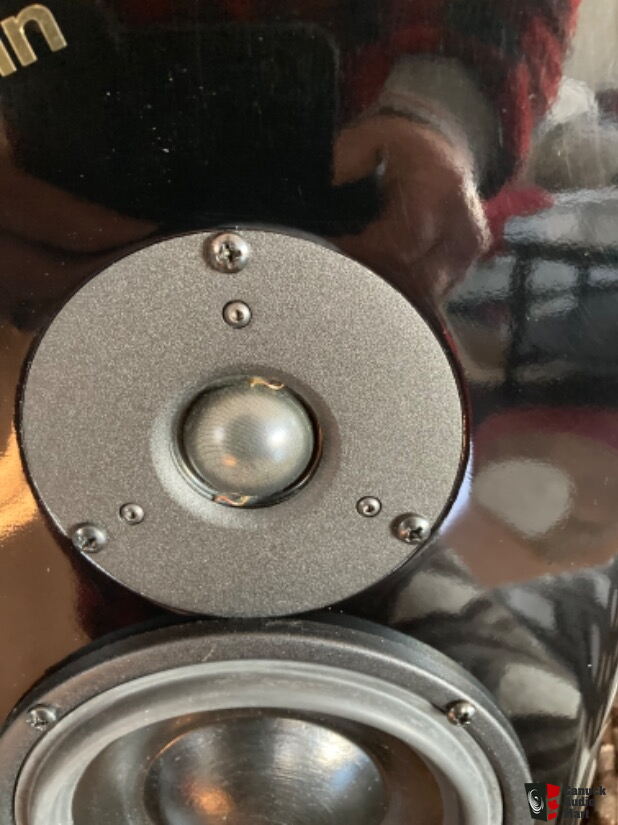 Merlin TSM /// Black Diamond Finish Photo #4401937 - Canuck Audio Mart