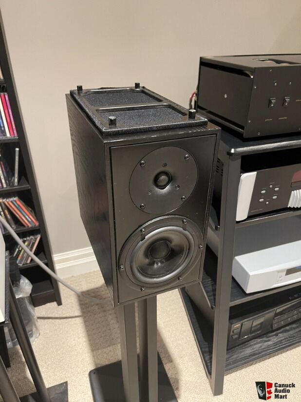 Penaudio Rebel 2 CLASSIC Photo #4402367 - Canuck Audio Mart