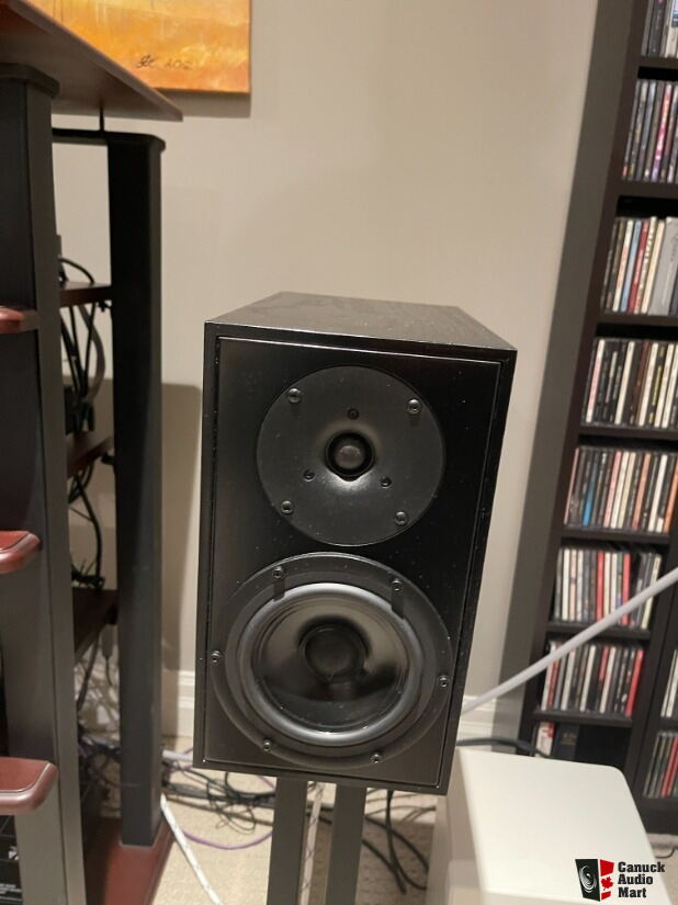 Penaudio Rebel 2 CLASSIC Photo #4402367 - Canuck Audio Mart