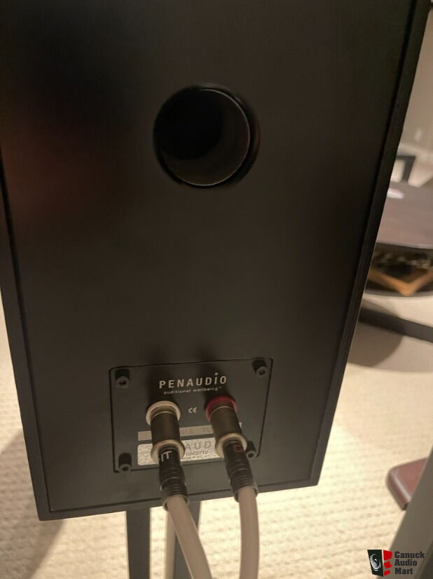 Penaudio Rebel 2 CLASSIC Photo #4402367 - Canuck Audio Mart