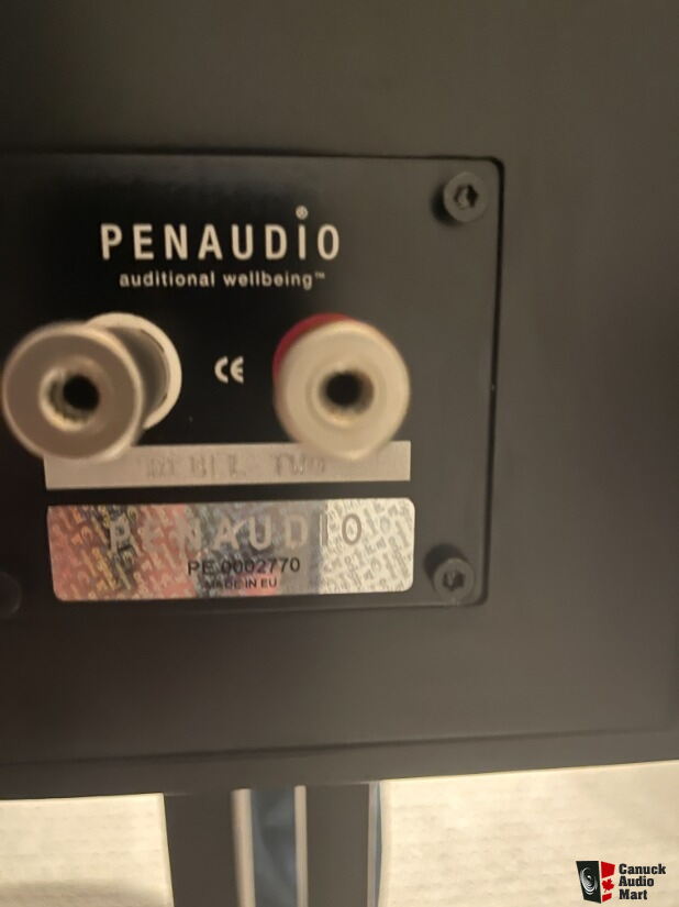 Penaudio Rebel 2 CLASSIC Photo #4402373 - Canuck Audio Mart