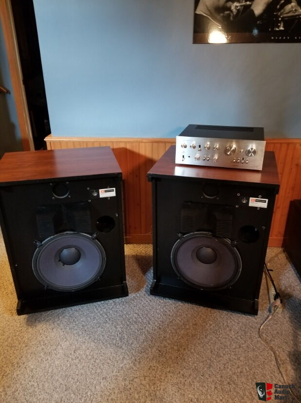 Legendary JBL 4331A Complete Makeover Photo #4406771 - Canuck Audio Mart