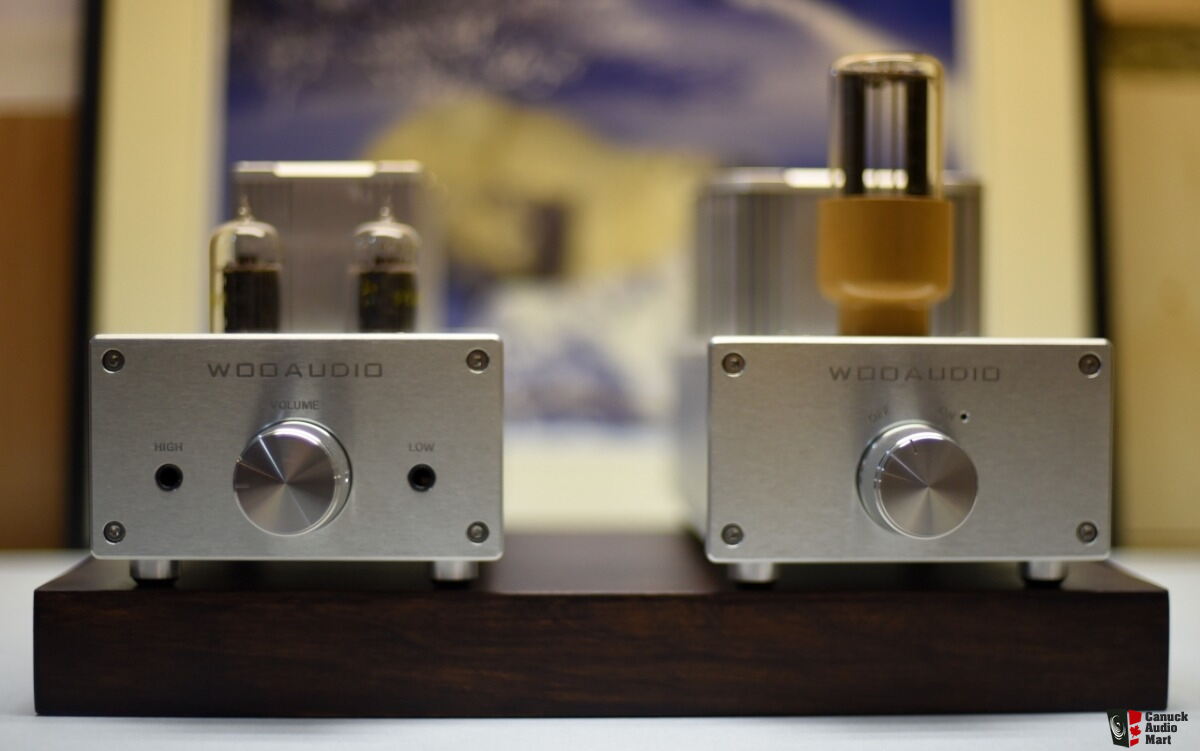 Woo Audio WA6-SE (silver first gen.) Photo #4408160 - Canuck Audio Mart