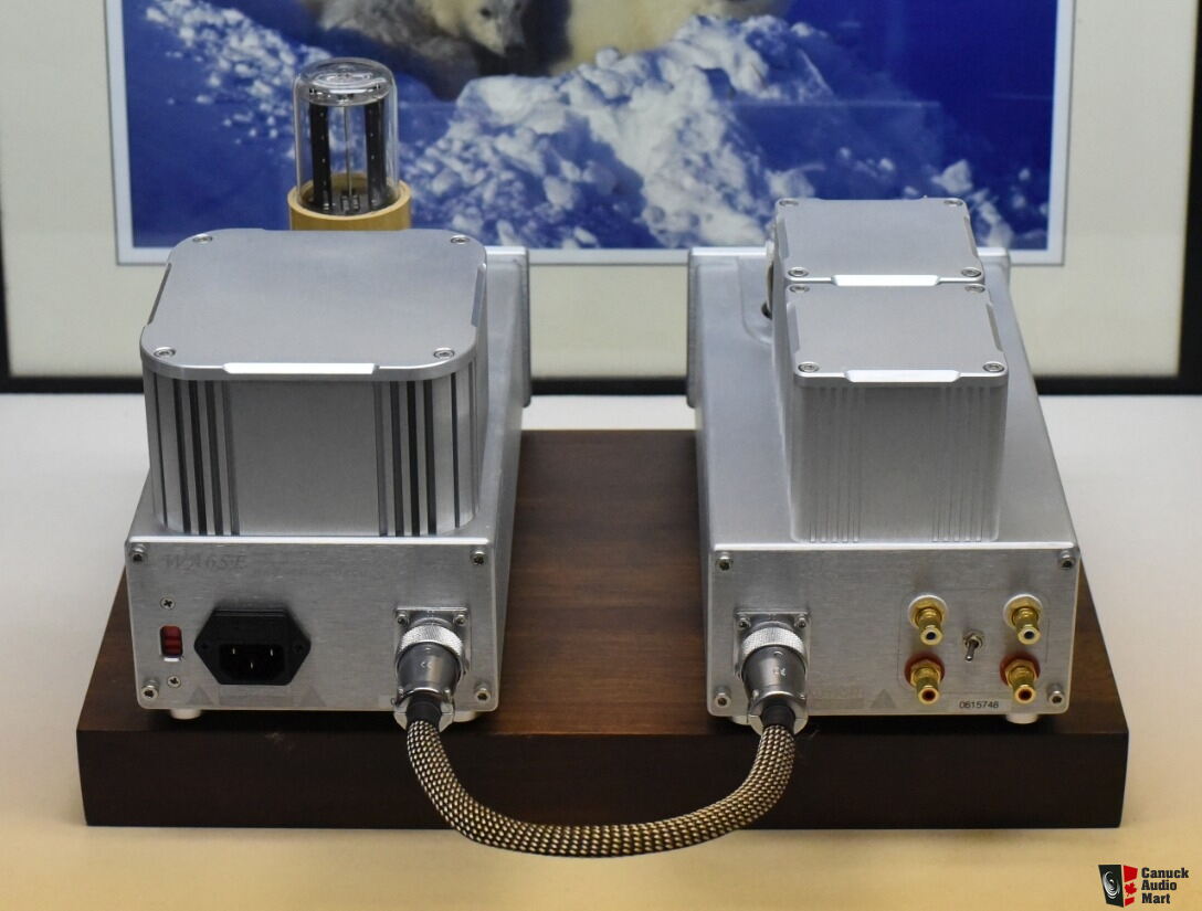 Woo Audio WA6-SE (silver first gen.) with many many tubes ***New Price ...