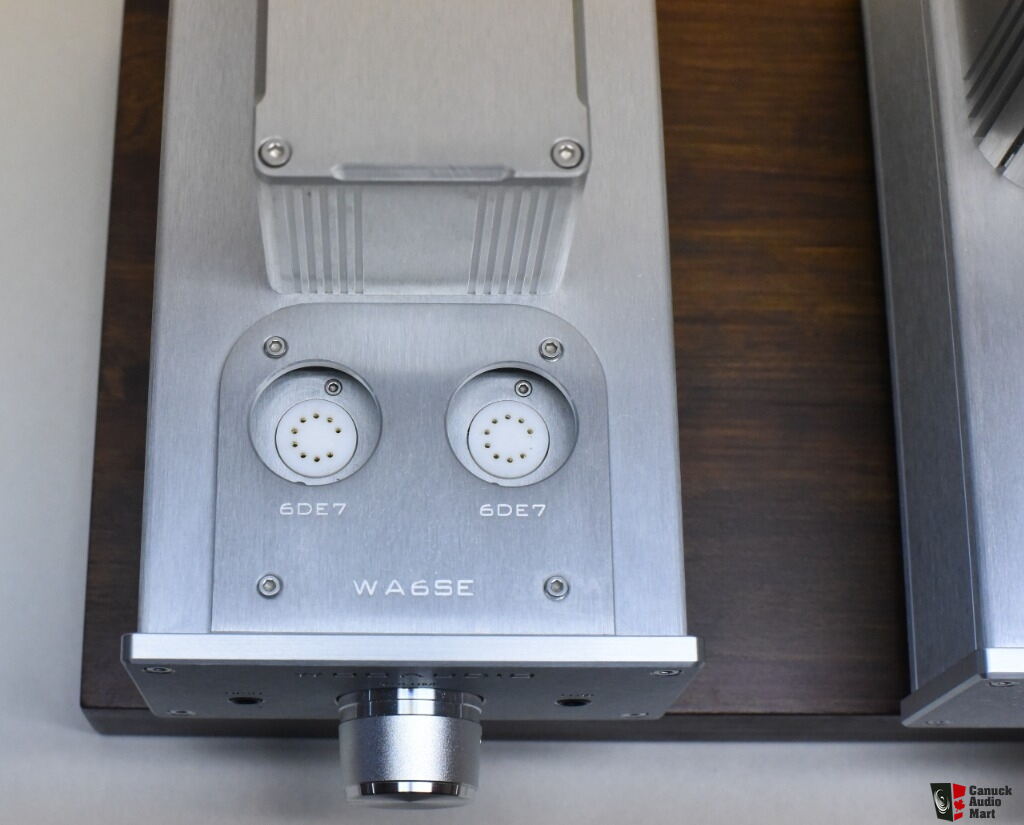 Woo Audio WA6-SE (silver first gen.) with many many tubes ***New Price ...
