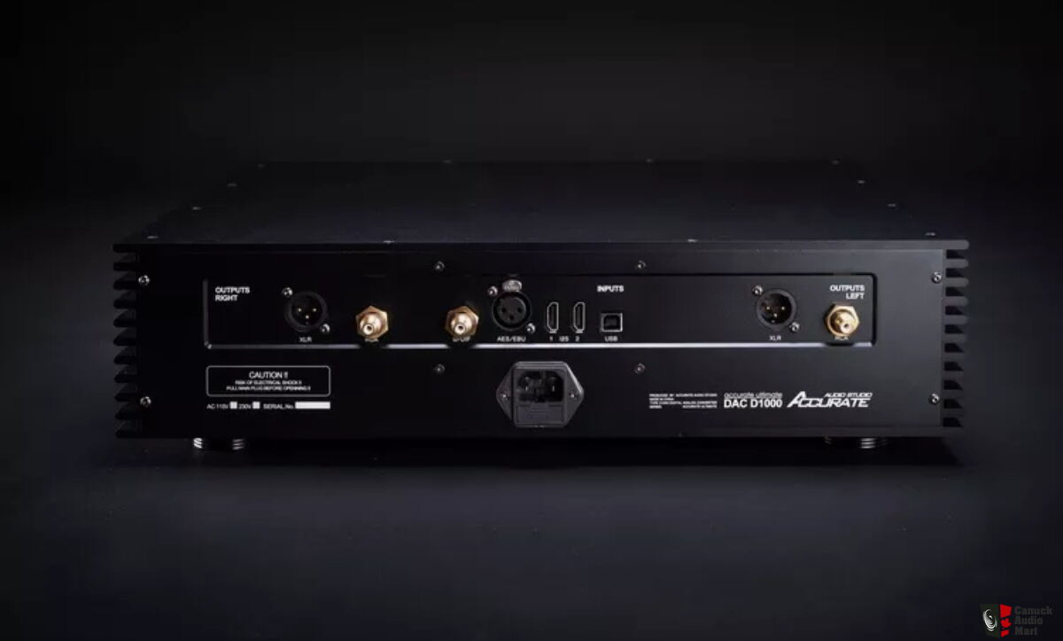 PENDING----Accurate Ultimate R2R DAC D1000 (Rockna Wavedream Replica ...
