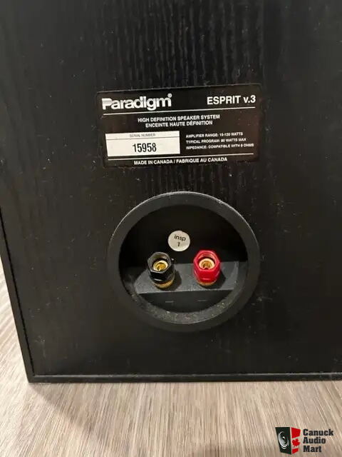 Paradigm Esprit V3 Speakers Photo #4420900 - US Audio Mart