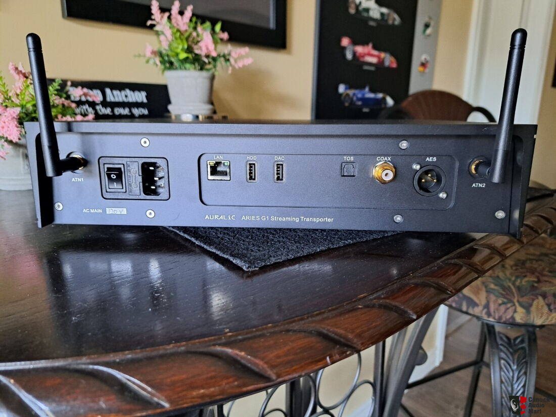 Auralic Aries G1 streamer, price includes shipping Photo #4427078 - US ...