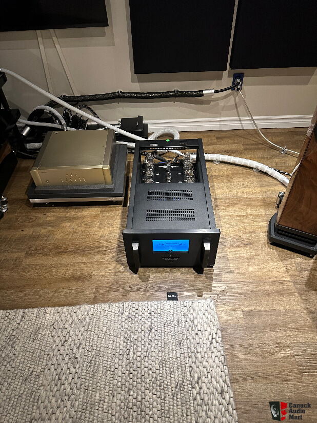 Canary Audio Grand Reference mono blocks (retail $70000) Photo #4434306 ...