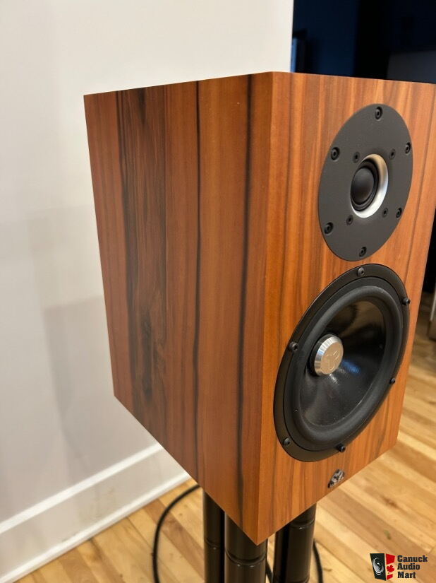Kudos Super 10 Bookshelf Speakers Photo #4434850 - US Audio Mart