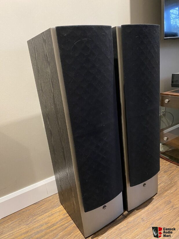 Athena AS-F1-1 Floor standing speakers Photo #4437163 - Canuck Audio Mart