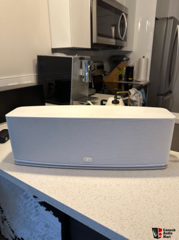 PW 800 Paradigm speaker