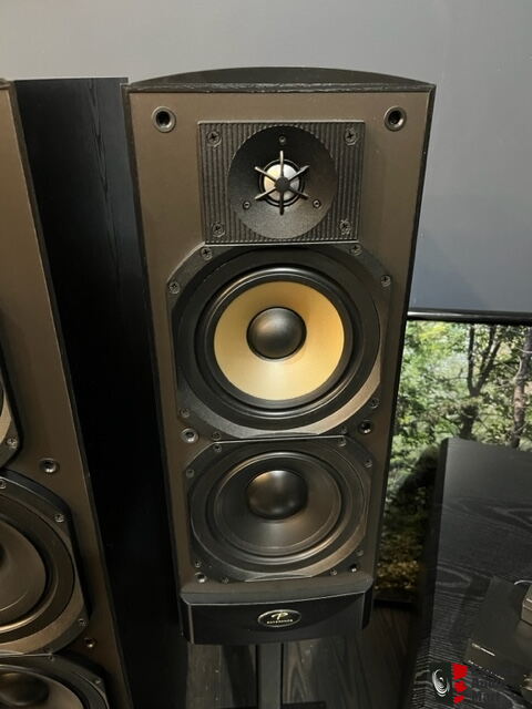 Paradigm Studio 40 V2 Speakers Photo #4448069 - Canuck Audio Mart