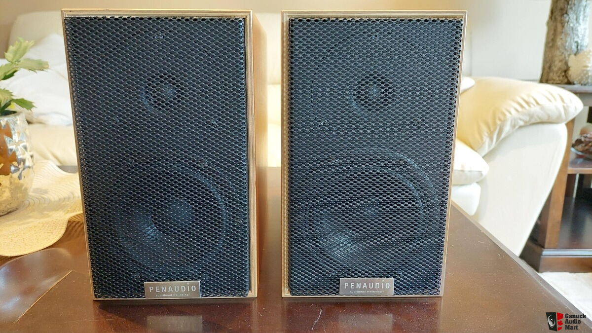 Penaudio REBEL 3 Photo #4448107 - Canuck Audio Mart