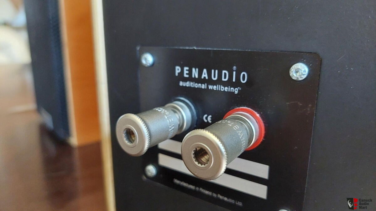 Penaudio REBEL 3 Photo #4448110 - US Audio Mart