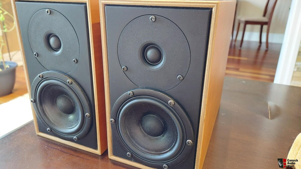 Penaudio REBEL 3 For Sale - US Audio Mart
