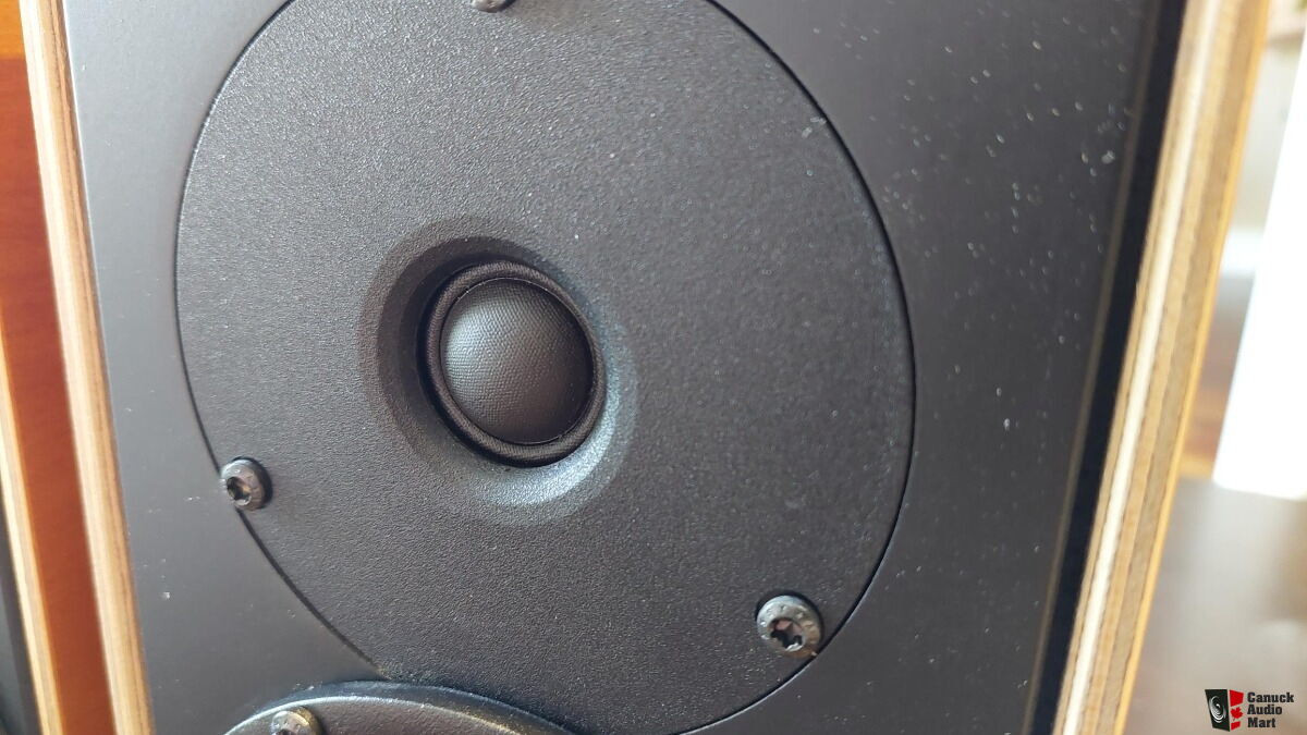 Penaudio REBEL 3 Photo #4448112 - Canuck Audio Mart