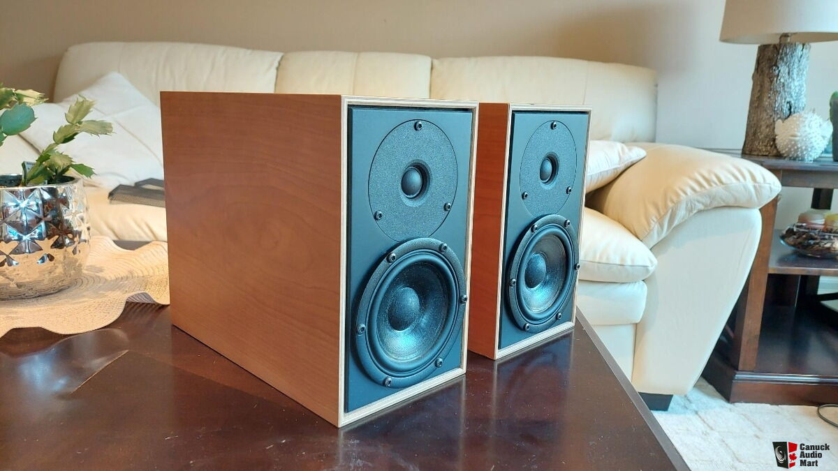 Penaudio REBEL 3 Photo #4448118 - Canuck Audio Mart