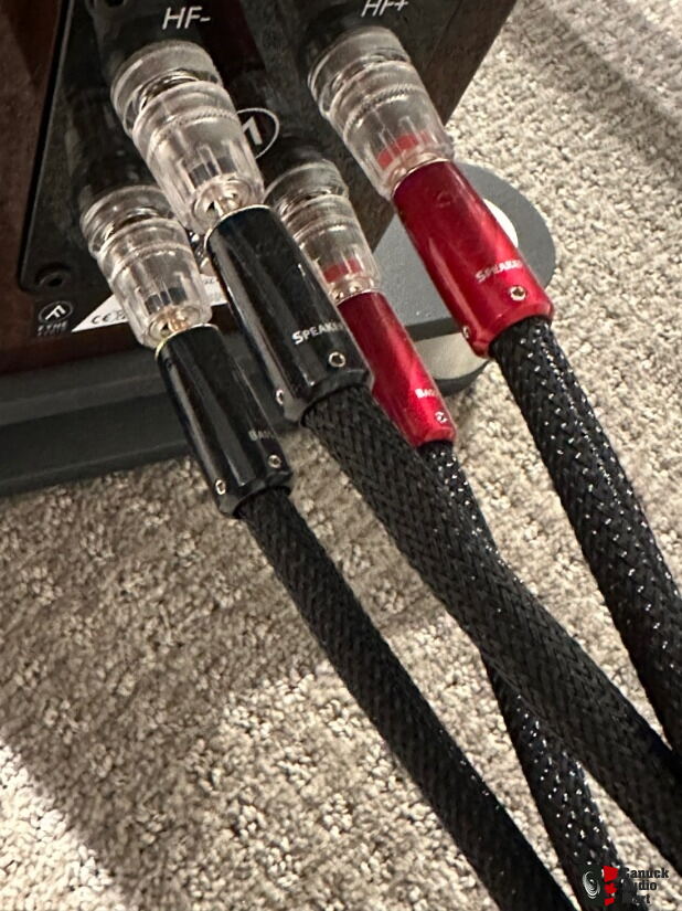 AudioQuest Thunderbird ZERO & BASS (custom length for monoblock ...