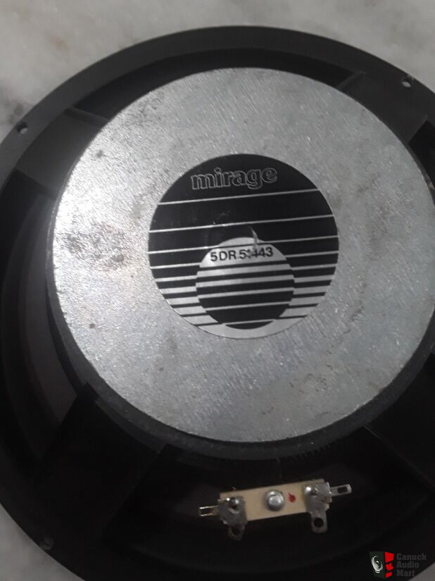 tymphany (vifa) 10 inch woofer Photo #4452272 - Canuck Audio Mart