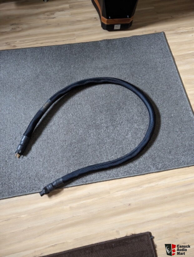 Zcable Cyclone Ref 1 Power Cable Photo #4454542 - Canuck Audio Mart