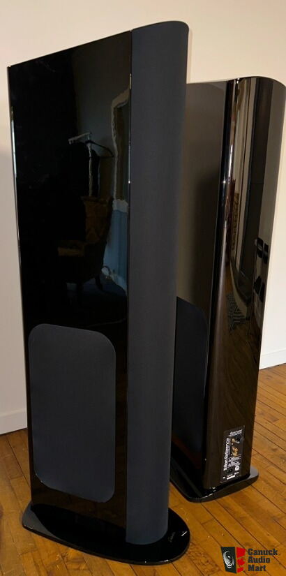 GoldenEar Triton Reference - near Mint - FREE shipping! Photo #4463785 ...