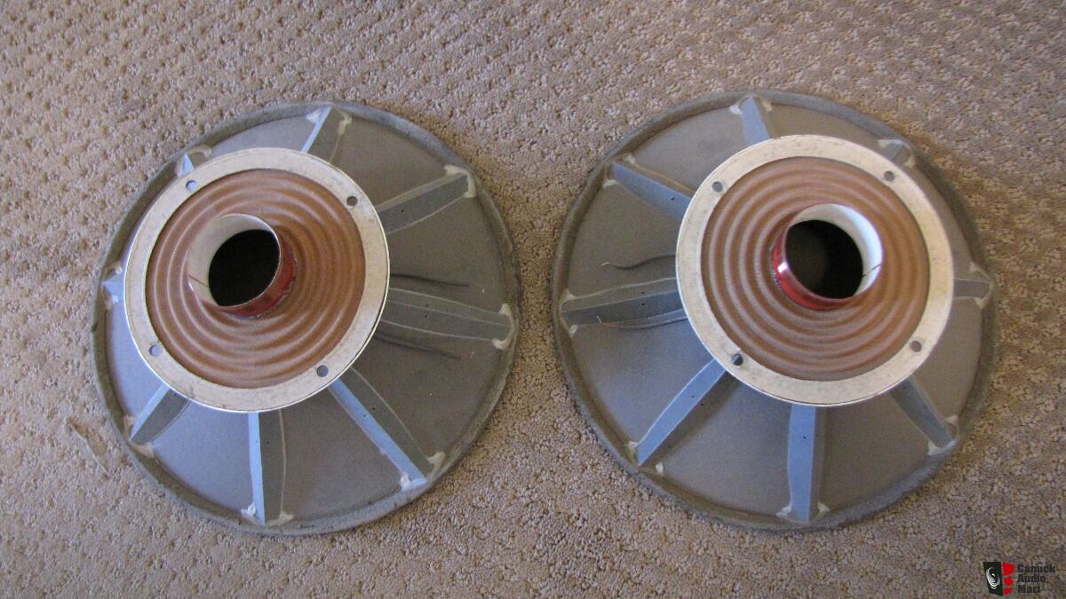 Tannoy 15" recone kits for 3828 3838 3839 drivers 7900 0039 Berkeley MK ...