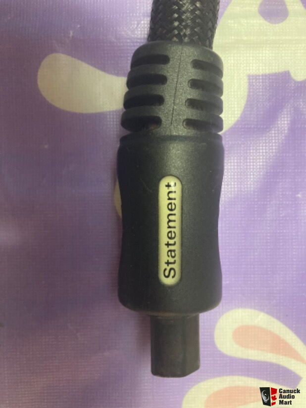 PS Audio Extreme Statement 40" Power Cord Photo #4467830 - Canuck Audio ...