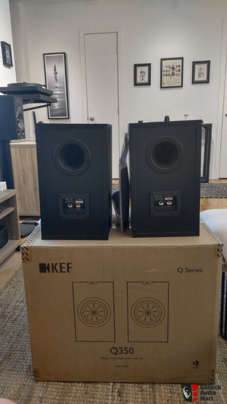NEW OUT OF BOX KEF Q350 SATIN BLACK Photo #4469372 - Canuck Audio Mart