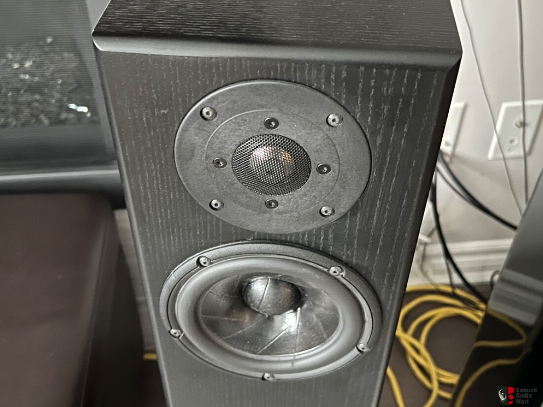 Totem Hawk floorstanding speakers Photo #4472567 - UK Audio Mart