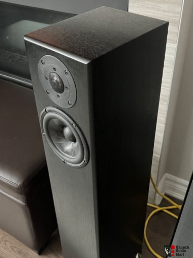 Totem Hawk floorstanding speakers Photo #4472567 - UK Audio Mart