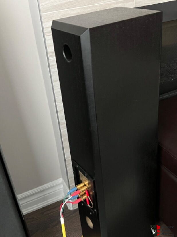 Totem Hawk floorstanding speakers Photo #4472567 - UK Audio Mart