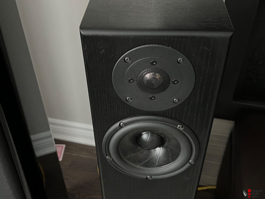 Totem Hawk floorstanding speakers Photo #4472567 - UK Audio Mart