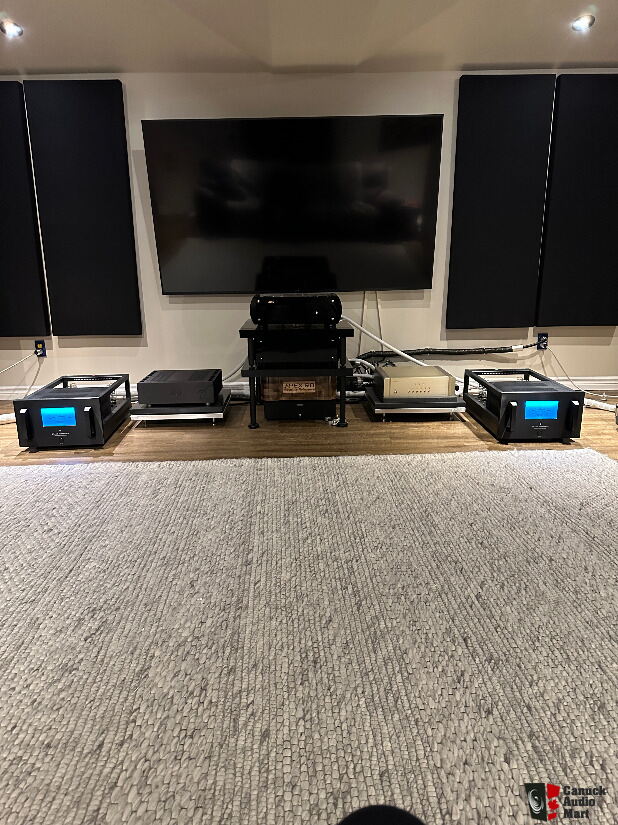 Canary Audio Grand Reference mono blocks (retail $70000) Photo #4472956 ...