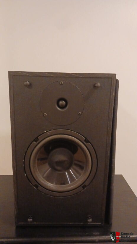 Psb century 300 Photo #4474282 - Canuck Audio Mart
