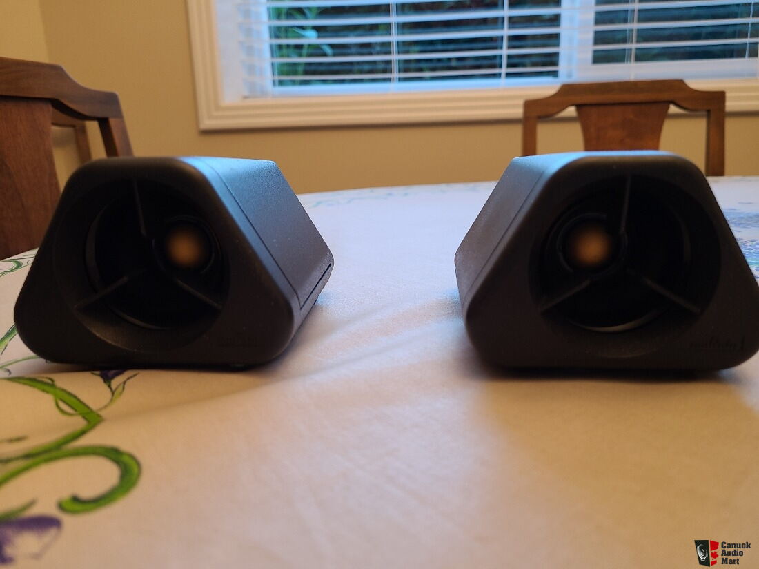 Murata ES-105 Super Tweeters Photo #4475987 - Canuck Audio Mart