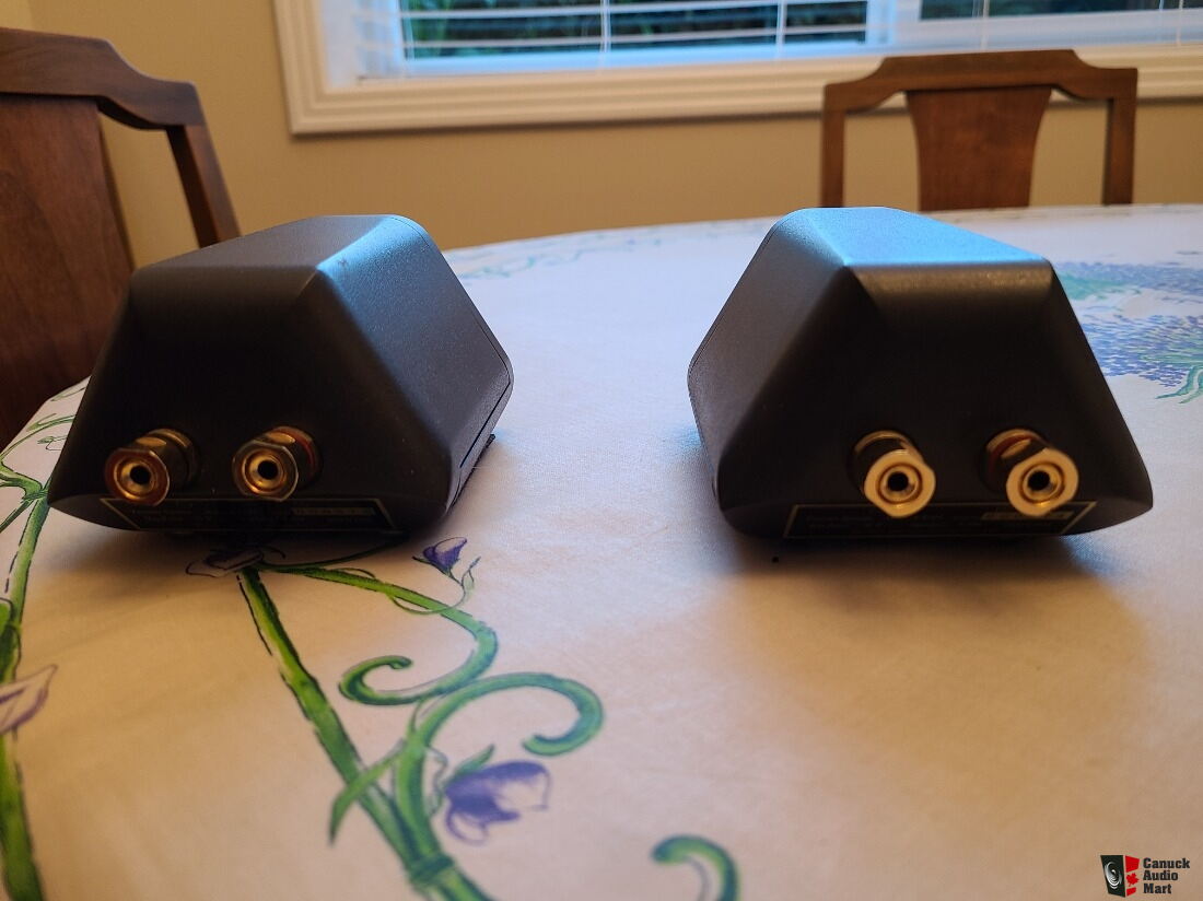 Murata ES-105 Super Tweeters Photo #4475989 - Canuck Audio Mart