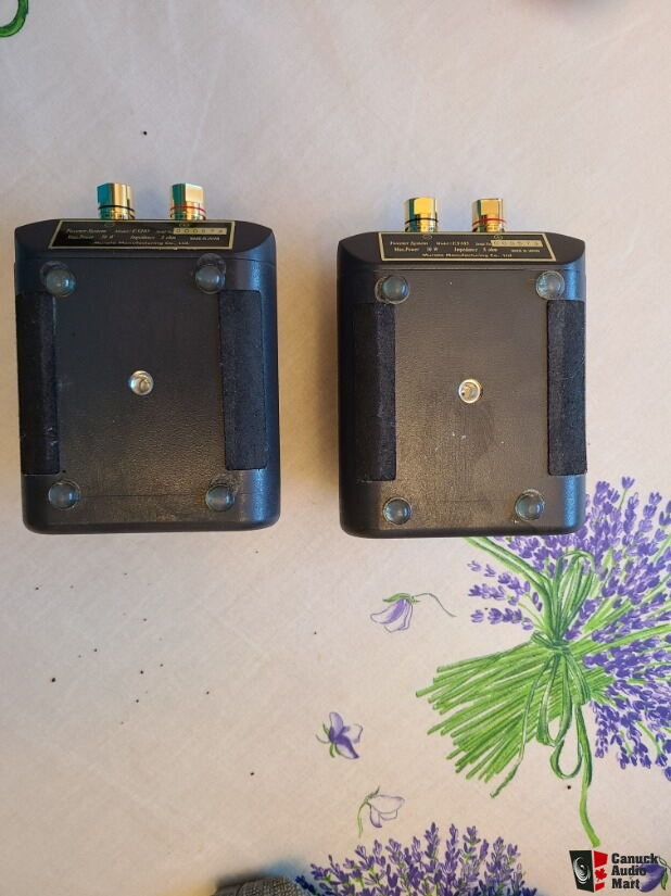 Murata ES-105 Super Tweeters Photo #4475990 - Canuck Audio Mart