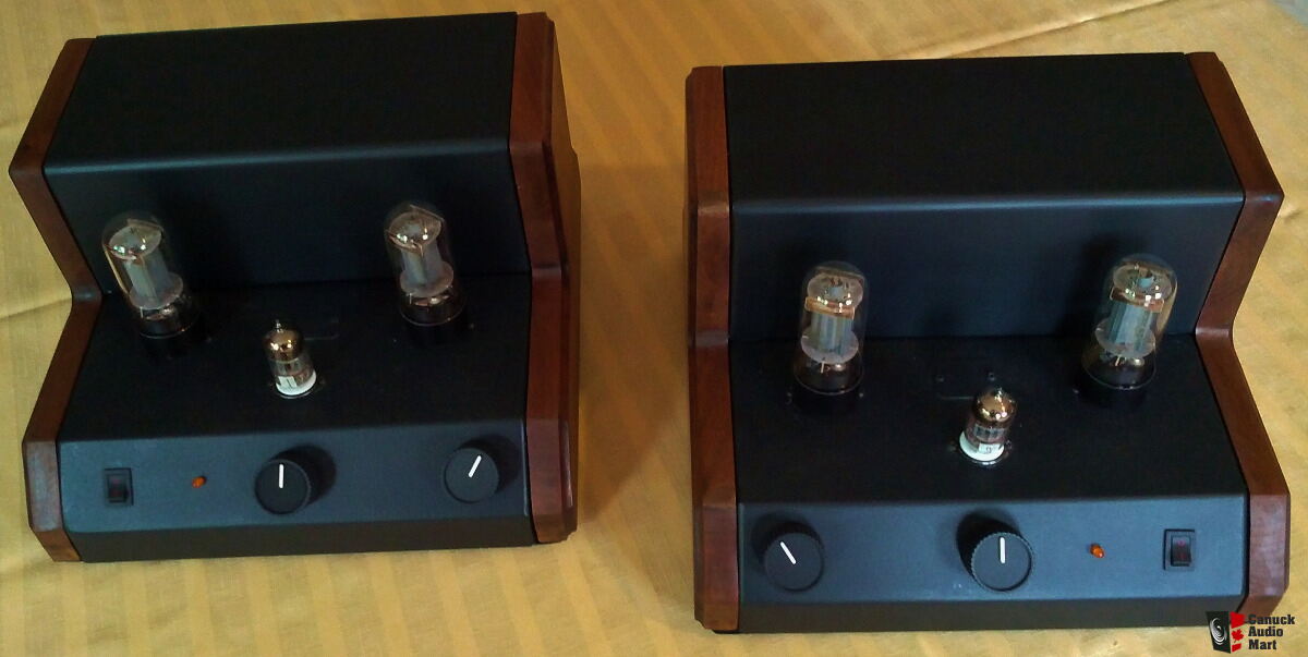 Pair of Handcrafted Monoblocks For Sale - US Audio Mart