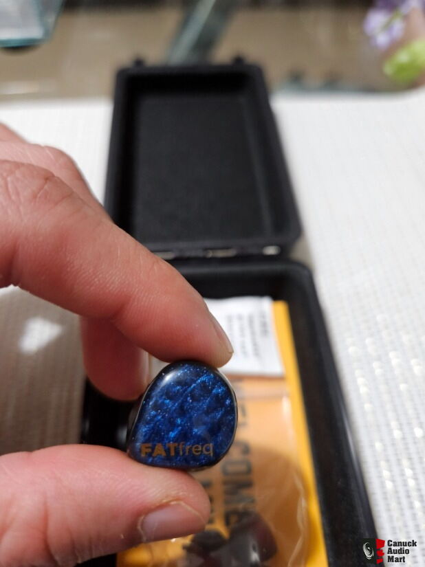 Fatfreq Maestro Mini Photo #4479583 - Canuck Audio Mart